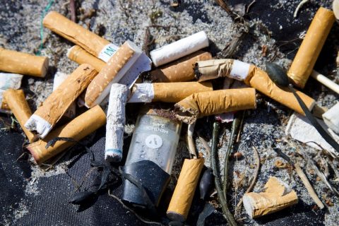 Do Cigarettes Expire? No, But Here's Why Old Cigarettes Are So ...